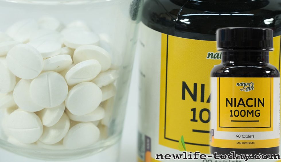 Niacin Vitamin B3 * 2 [Christmas] | Newlife Today, Malaysia